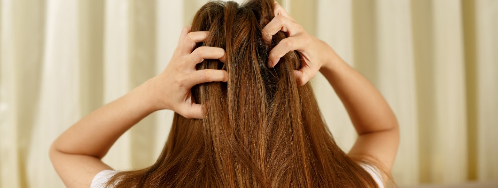 Wat Te Doen Tegen Jeukende Hoofdhuid - Digitaal Brein